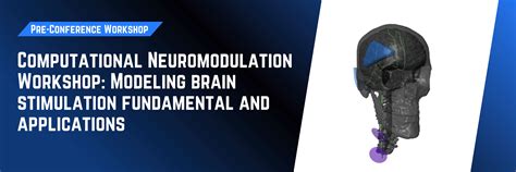 Computational Neuromodulation Workshop Modeling Brain Stimulation Fundamental And Applications