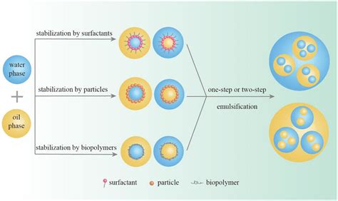Double Emulsion At Jeremy Sanchez Blog