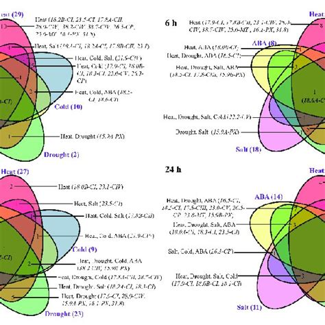 Divergence Between Paralogous Ssu Shsp Gene Pairs In S Suchowensis Download Table
