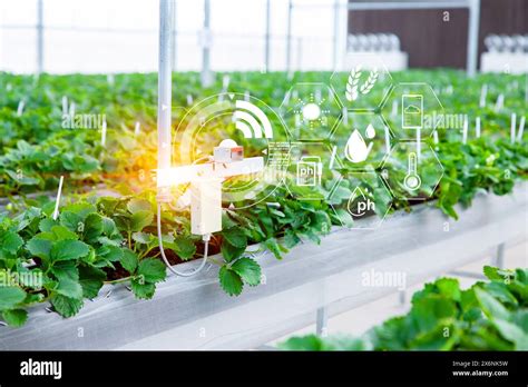 Agriculture Smart Farming Technology Sensor Co2 Humidity Lighting