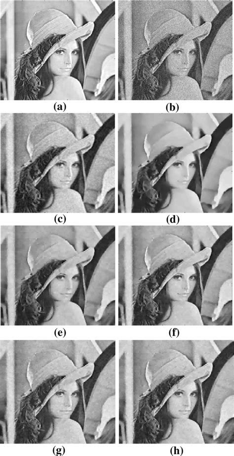 the denoising results of different algorithms on lena image a is the