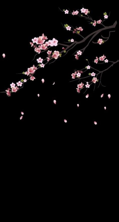 Black Cherry Blossom Wallpaper