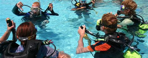Welcome To Depth Perceptions Diving Services Depth Perceptions Diving
