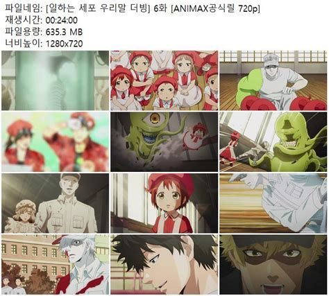 일하는 세포 우리말 더빙 6화 Animax공식릴 720p