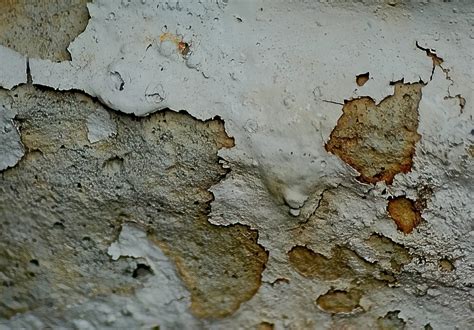 Damp Proofing In Gauteng Sa Welcome To Safeguard