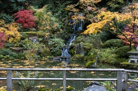 Fall Foliage At The Portland Japanese Garden Photos