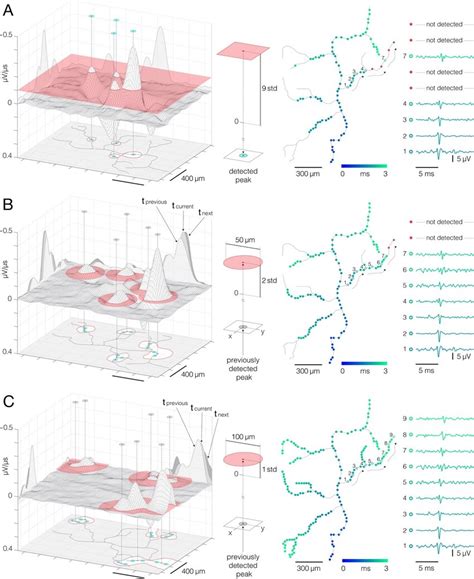 detection of action potentials propagating across axonal arbors a a