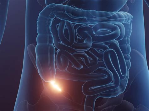 Annexe Cancer Ce Que Les Nouvelles études Révèlent Eureka Formation