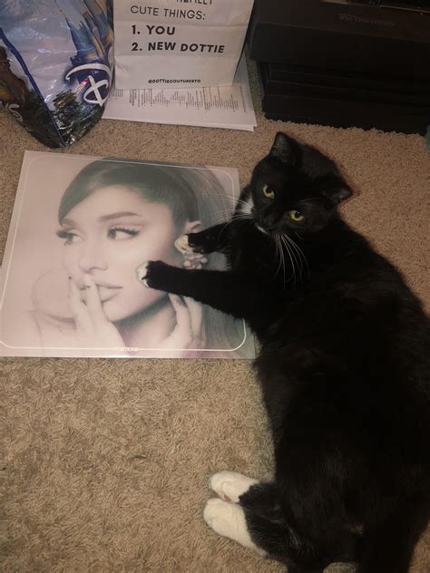 He Loves Ari R Ariheads