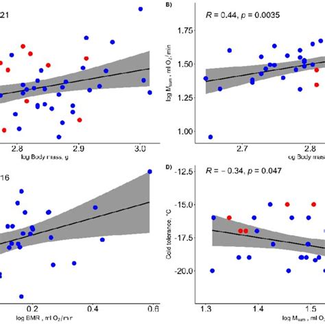 A The Relationship Between Log Bmr And Log Body Mass B The