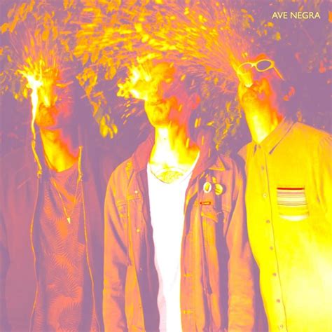 Ave Negra Csi Lyrics Genius Lyrics