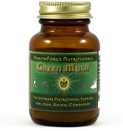 Healthforce Green Mush Powder Pack Of 2 Health