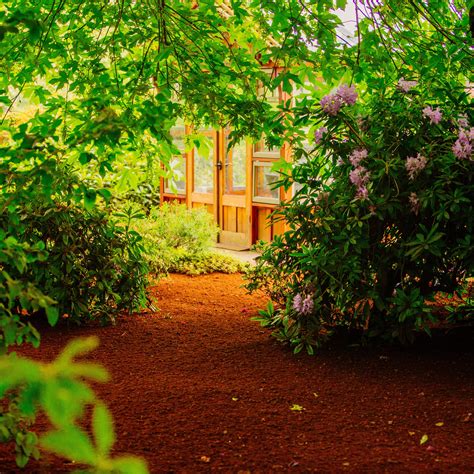 Rexius Bark Mulch Products