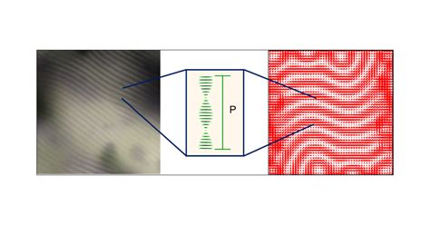 Orientation Relaxation Dynamics In Cellulose Nanocrystal Dispersions In The Chiral Liquid