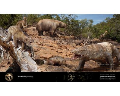 Pleistocene Australia Image Buy Uchytel