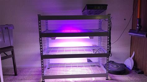 New Microgreens Setup 80 For Rack Fans On Way For Air Circulation