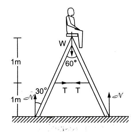 The Ladder Shown In Figure Has Negligible Mass And Rests On A Friction