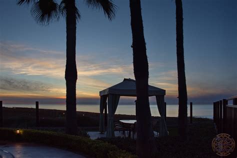 Bonsall Fire 12 By Darrian Ashoka On Deviantart