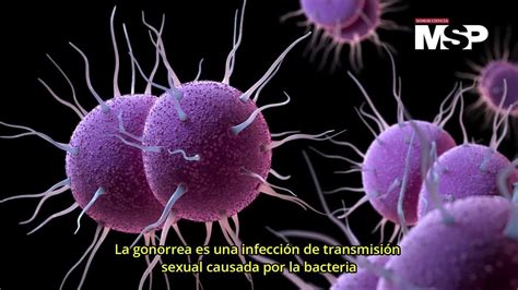 Gonorrea En Hombres ¿el Enemigo Silencioso O El Chiste Incómodo