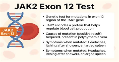 Jak2 Exon 12 Test Purpose Results Symptoms And Simple Guide All About Tests