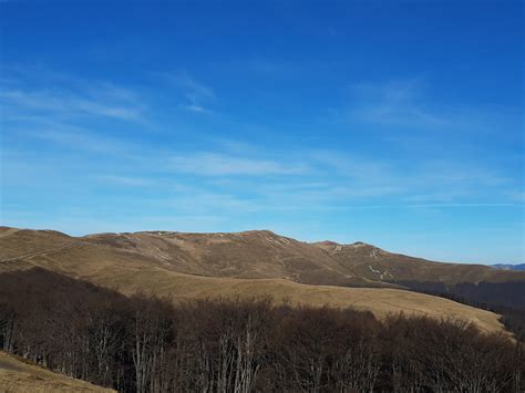 Munții Vâlcan Pasul Vâlcan Vârful Tenia Vârful Drăgoiu Drumul Roman Schela Lumeninmundo