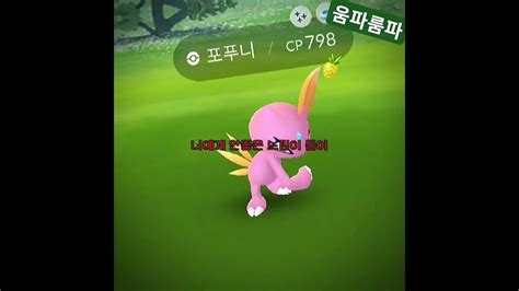 움파룸파 Youtube