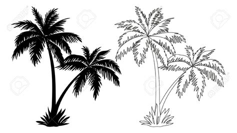 Palm Tree Clipart Outline At Tyson Callahan Blog