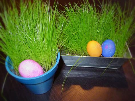 Misc Magenta Grass Pots