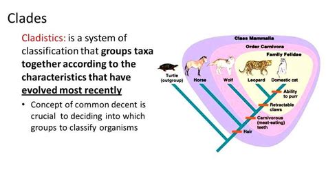 Cladistics
