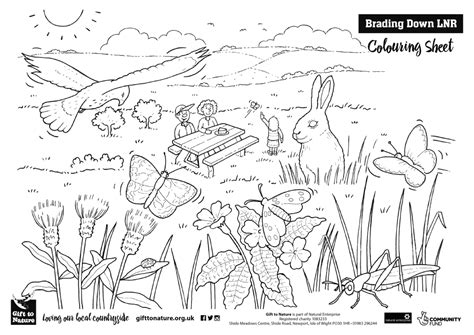 Brading Down Activities And Resources T To Nature