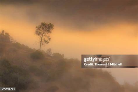 Thomas H Mitchell Photos And Premium High Res Pictures Getty Images