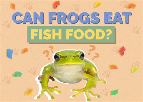 Can Frogs Eat Fish Food Vet Verified Nutrition Facts And Faq Hepper