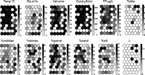 Self Organizing Map Som Of 12 Of 41 Environmental Variables From 124