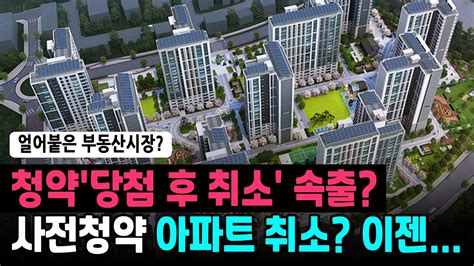 청약당첨 후 취소 속출 사전청약 아파트 취소 이젠 Youtube