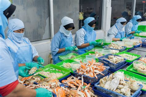 Crab Processing Process From Indonesian Seas To The Global Market Id