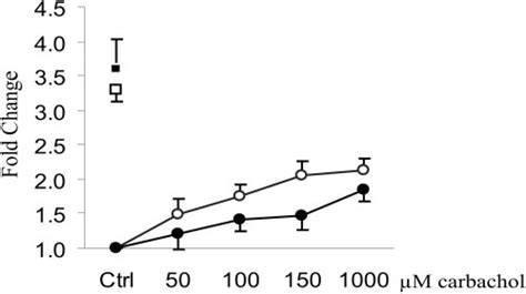 The Effect Of Carbachol On Conjunctival Epithelial Cell Proliferation Download Scientific
