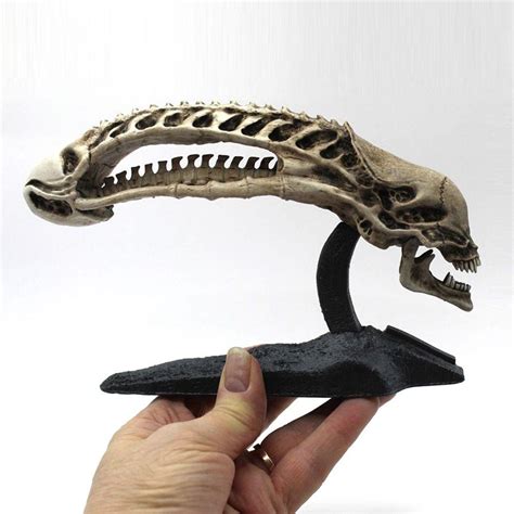 Alien Skull Model Giger Alien Desk Art Xenomorph Skull Model Alien