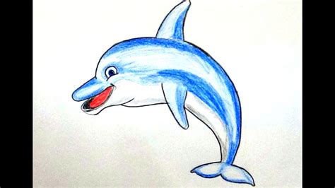 How To Draw A Dolphin With Color