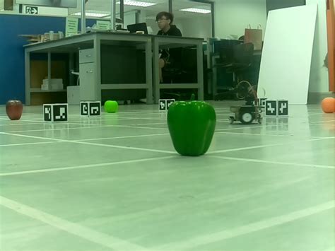 Ece4078 Fruit Detection Roboflow Universe