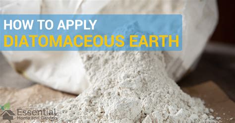 How To Use Diatomaceous Earth For Pest Control Indoors And Outdoors
