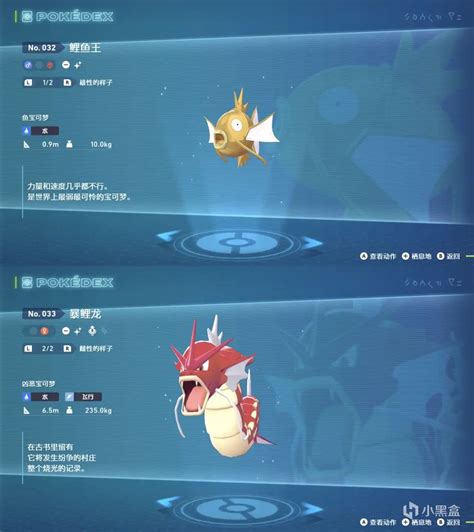 宝可梦传说za鲤鱼王及进化型怎么刷闪 鲤鱼王及进化型刷闪点位分享3dm单机