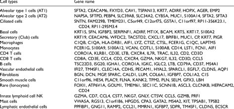 Gene Markers For Human Lung Cells Download Scientific Diagram