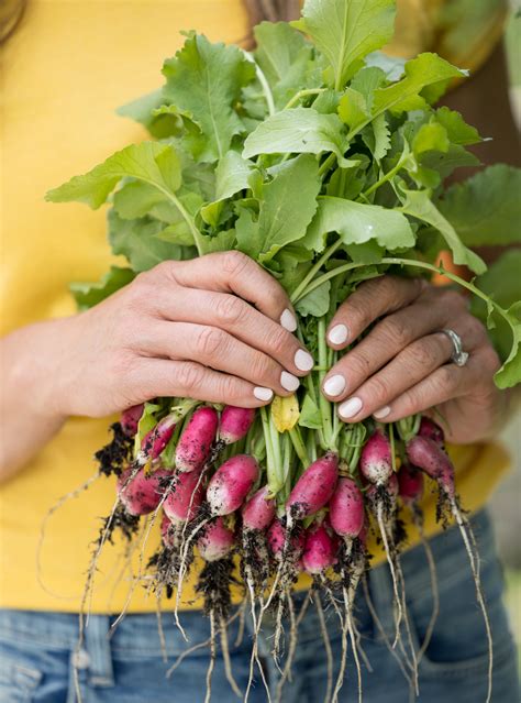 The Complete Guide To Growing Root Crops In An Organic Kitchen Garden