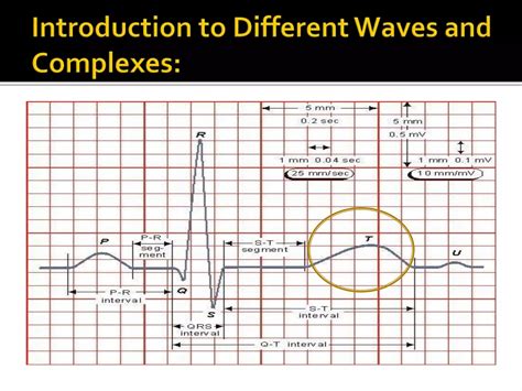 Basic Ecg Readings Pptx