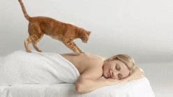 Download 500000 Funny Animated S And Memes 100 For Free