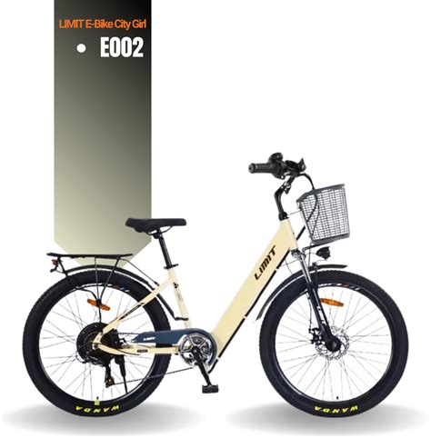 Xe Đạp Trợ Lực Điện Limit E Bike Koki Medixe