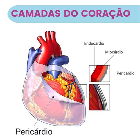 O Que é A Endocardite Bacteriana Na Odontologia