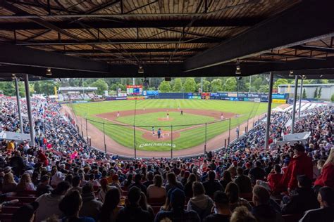 Vancouver Canadians Prep For Mlb 2024 Season At Nat Bailey Vancouver