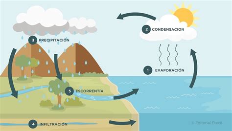 Importancia Del Ciclo Del Agua Para El Humano El Clima