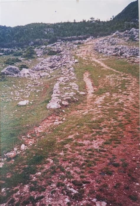 Prof Dr Valter Shtylla Portat E Arta Golden Gates Të Via Egnatias Në Ballkan Gazeta Telegraf